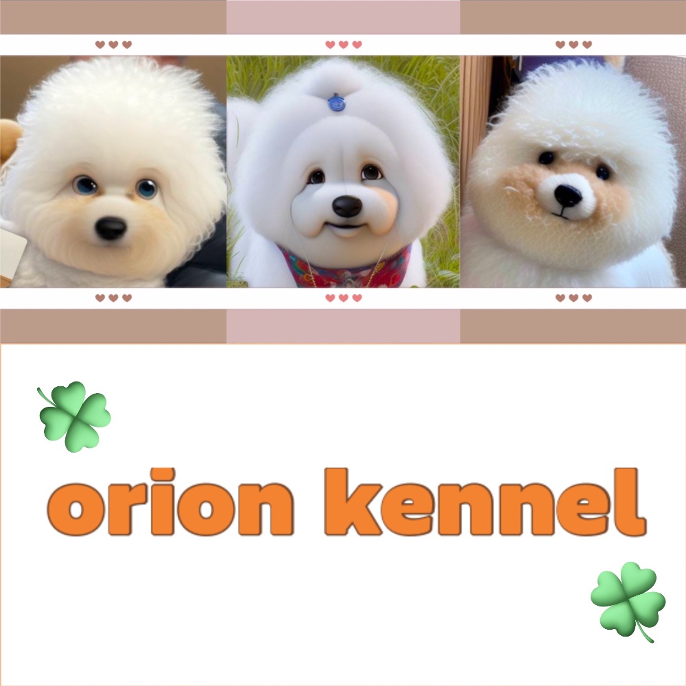 株式会社AKIFUJI【ブリーダー直販・子犬販売・ペットホテル・ペットサロン】